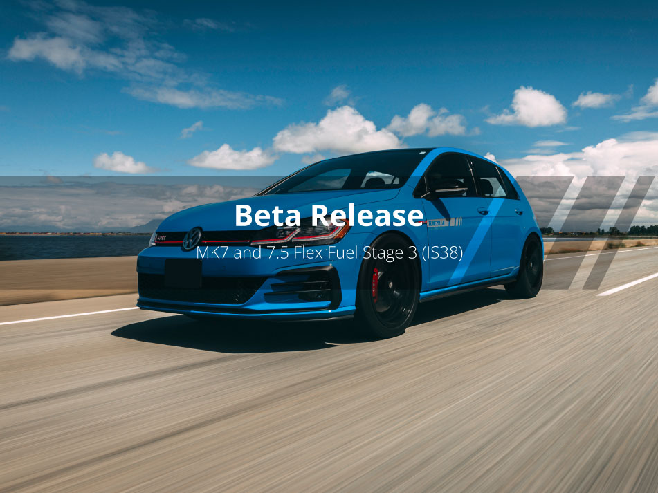 Flex Fuel is here! | TuneZilla